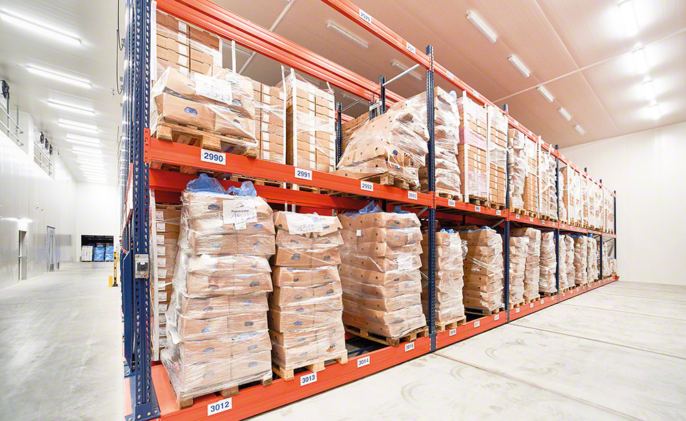 Frozen storage warehouse of Comag in Italy - Mecalux.com