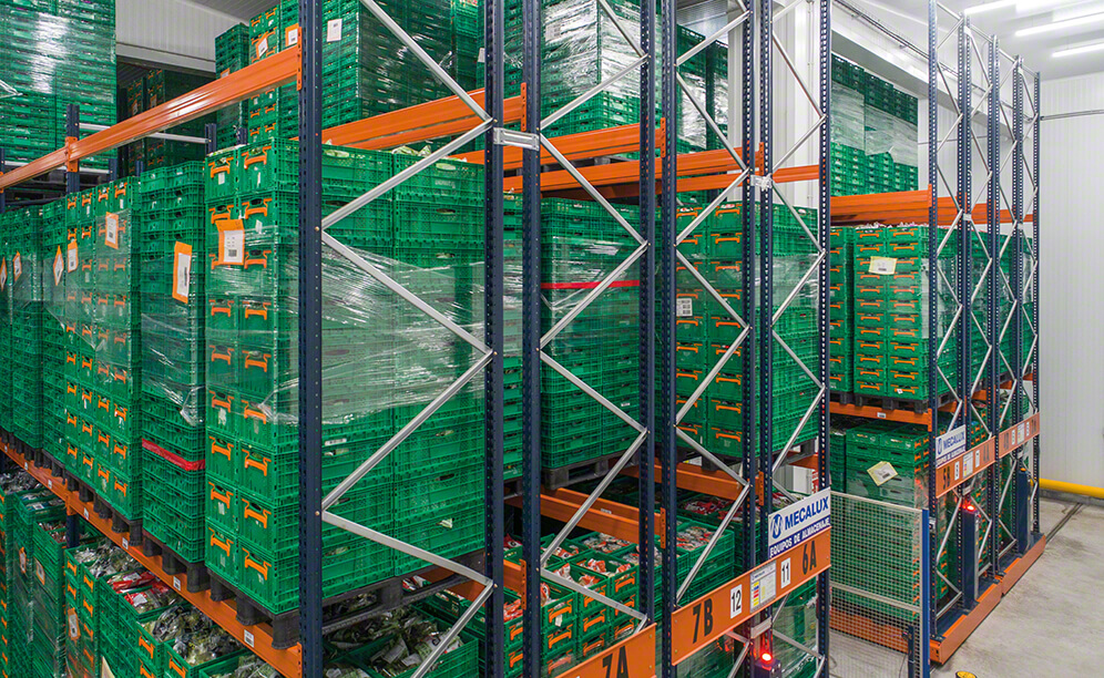 Cold-storage at Grupo Alimentario Citrus - Mecalux.com